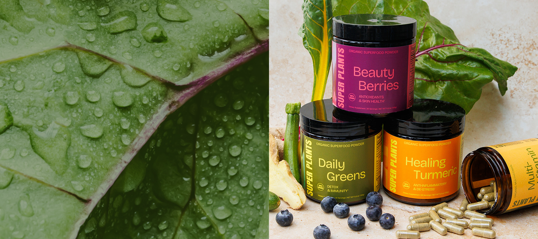 SuperPlants | Organic Superfoods, Vitamins & Detox Programs – Eat SuperPlants Inc.